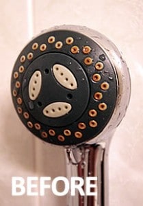 Clogged Shower Head? Here's A Quick Fix! - Clean My Space