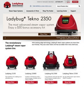 Review: Ladybug Steam Cleaners! - Clean My Space