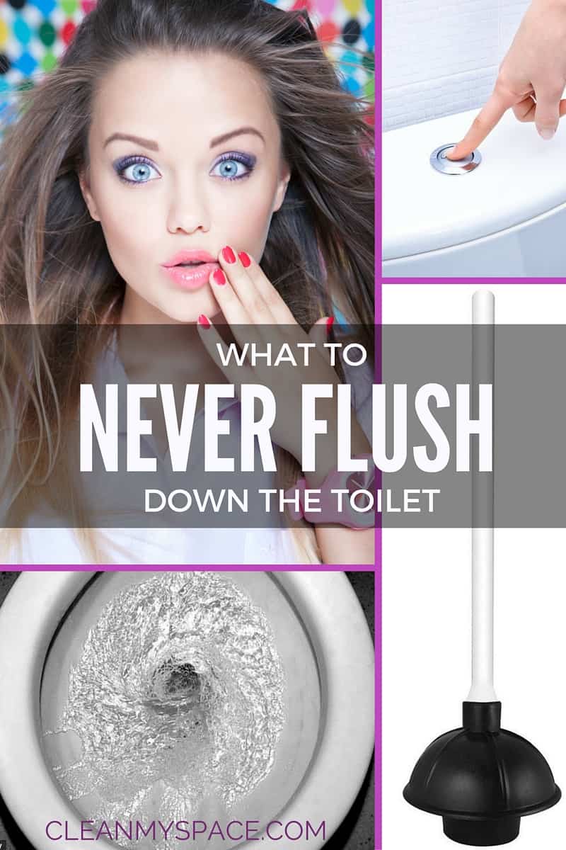 10 Things You Should Never Flush Down the Toilet! - Clean My Space